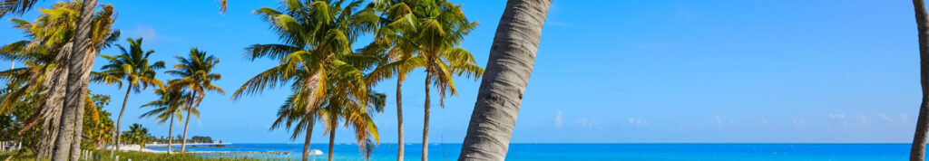 Florida Insurance Continuing Education Courses | BetterCE